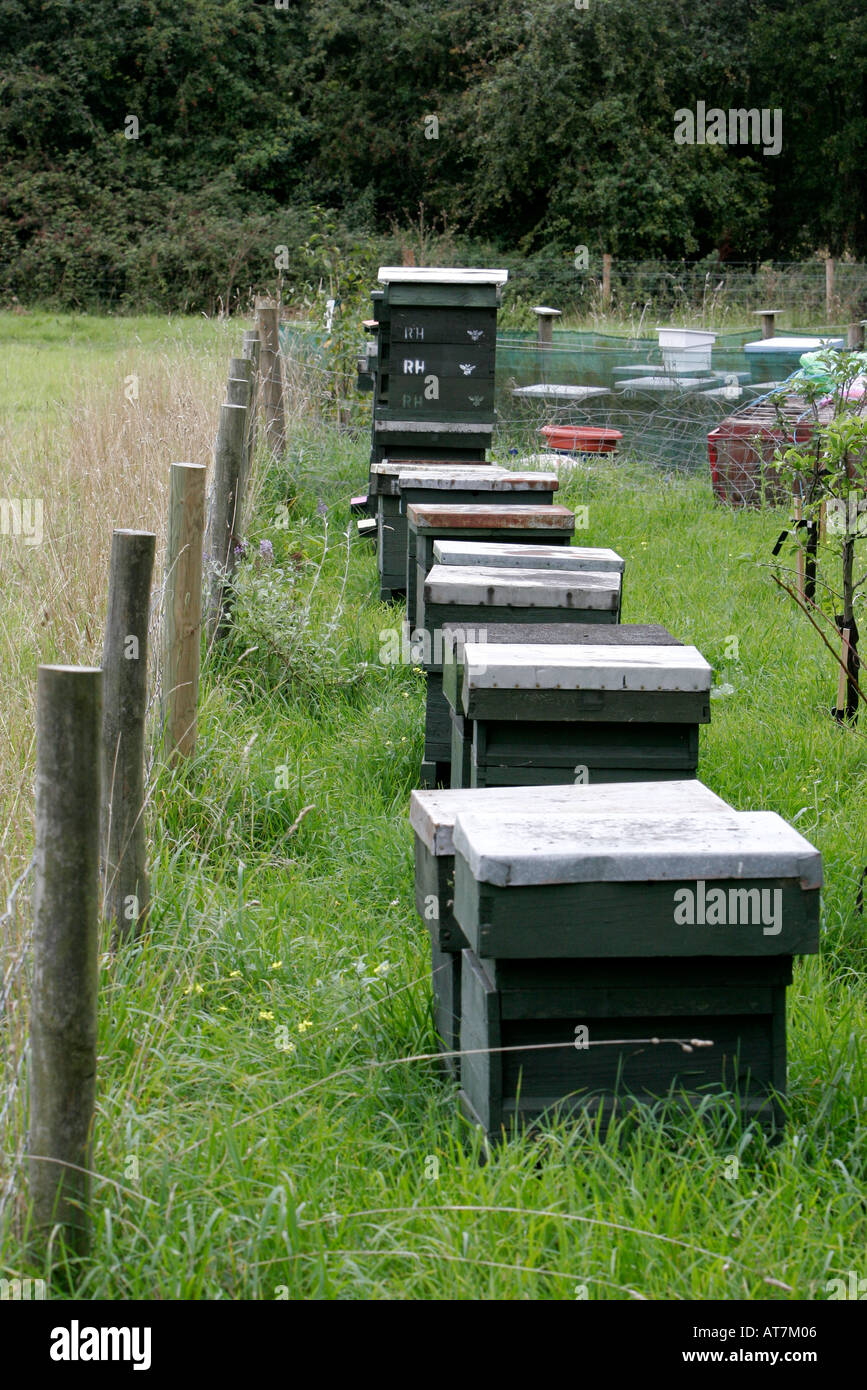 Colourful beehives europe hi-res stock photography and images - Alamy