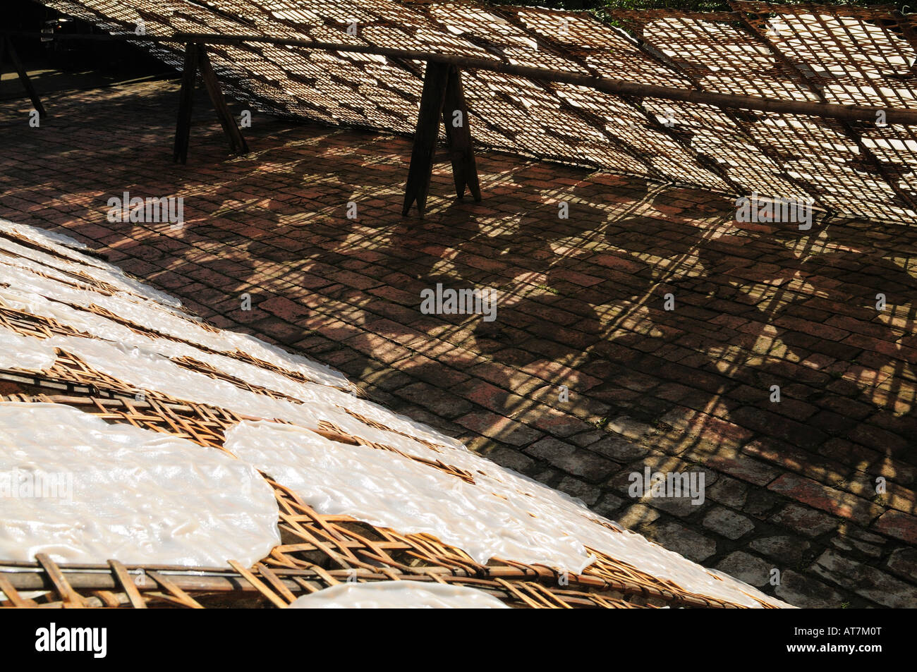 World rice production hi-res stock photography and images - Alamy