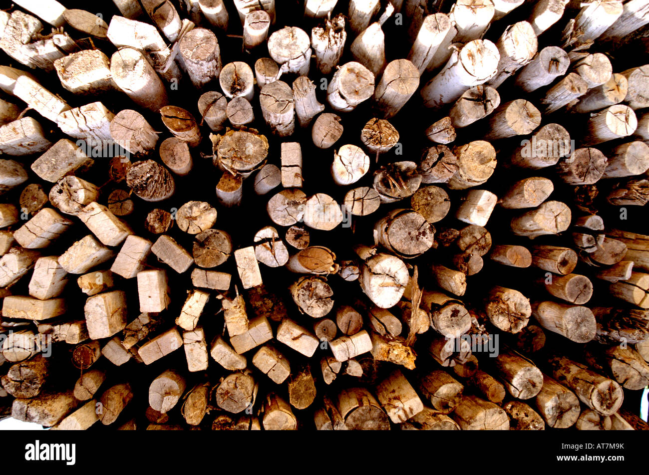 End cut wood hi-res stock photography and images - Alamy