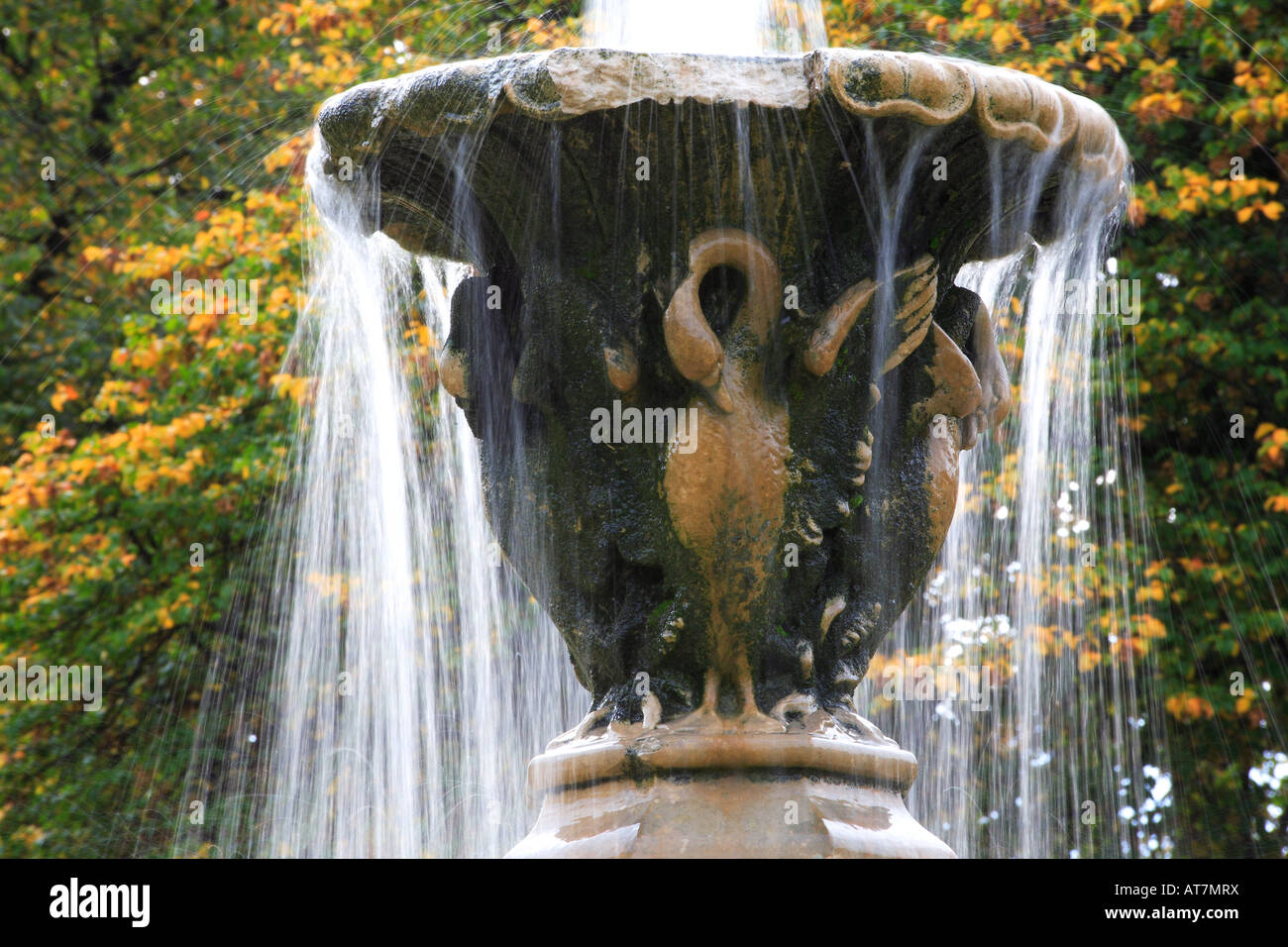 Sandford park hi-res stock photography and images - Alamy