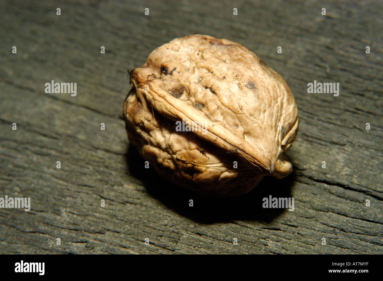 Walnut doors hi-res stock photography and images - Alamy