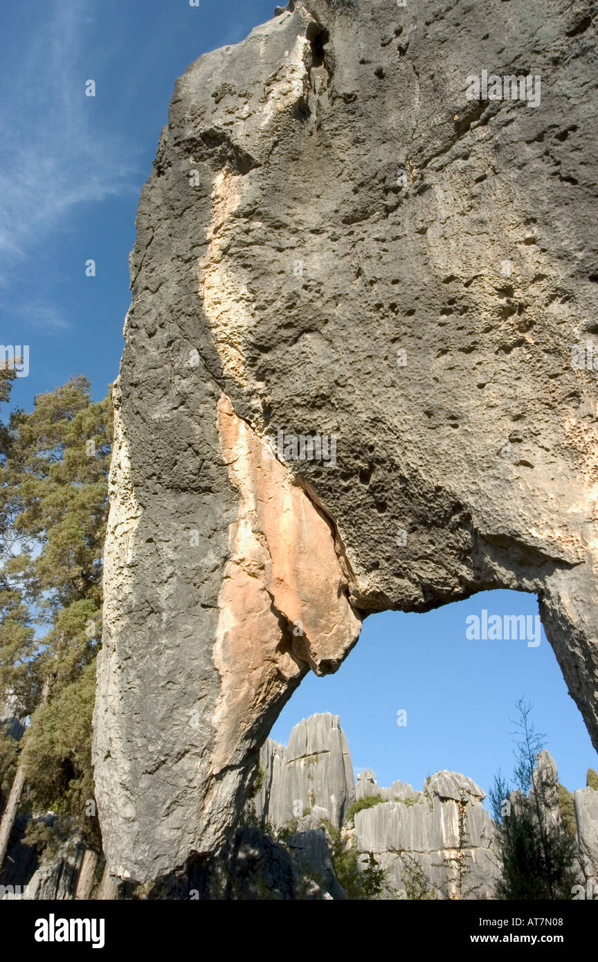 elephant shaped rock formations at the Stone Forest Shilin Yunnan China ...