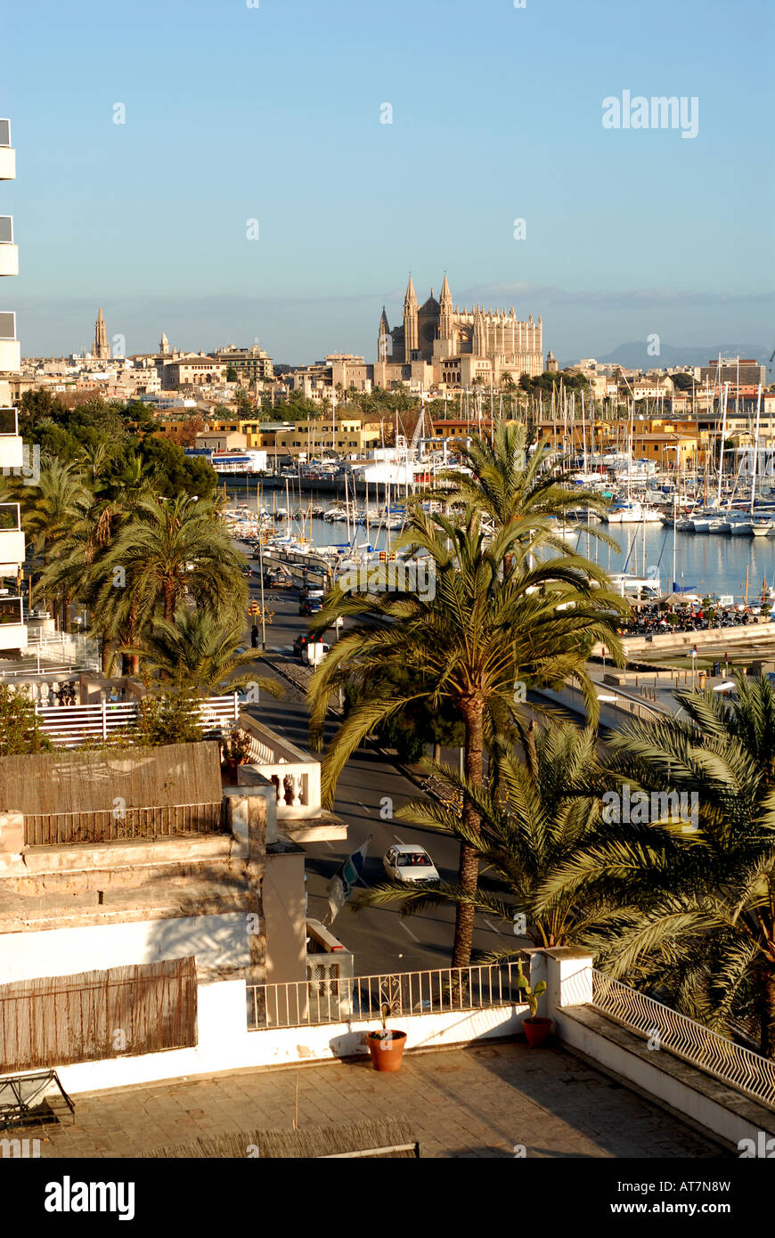 Palma Spain, Marina and Cathedral Stock Photo - Alamy