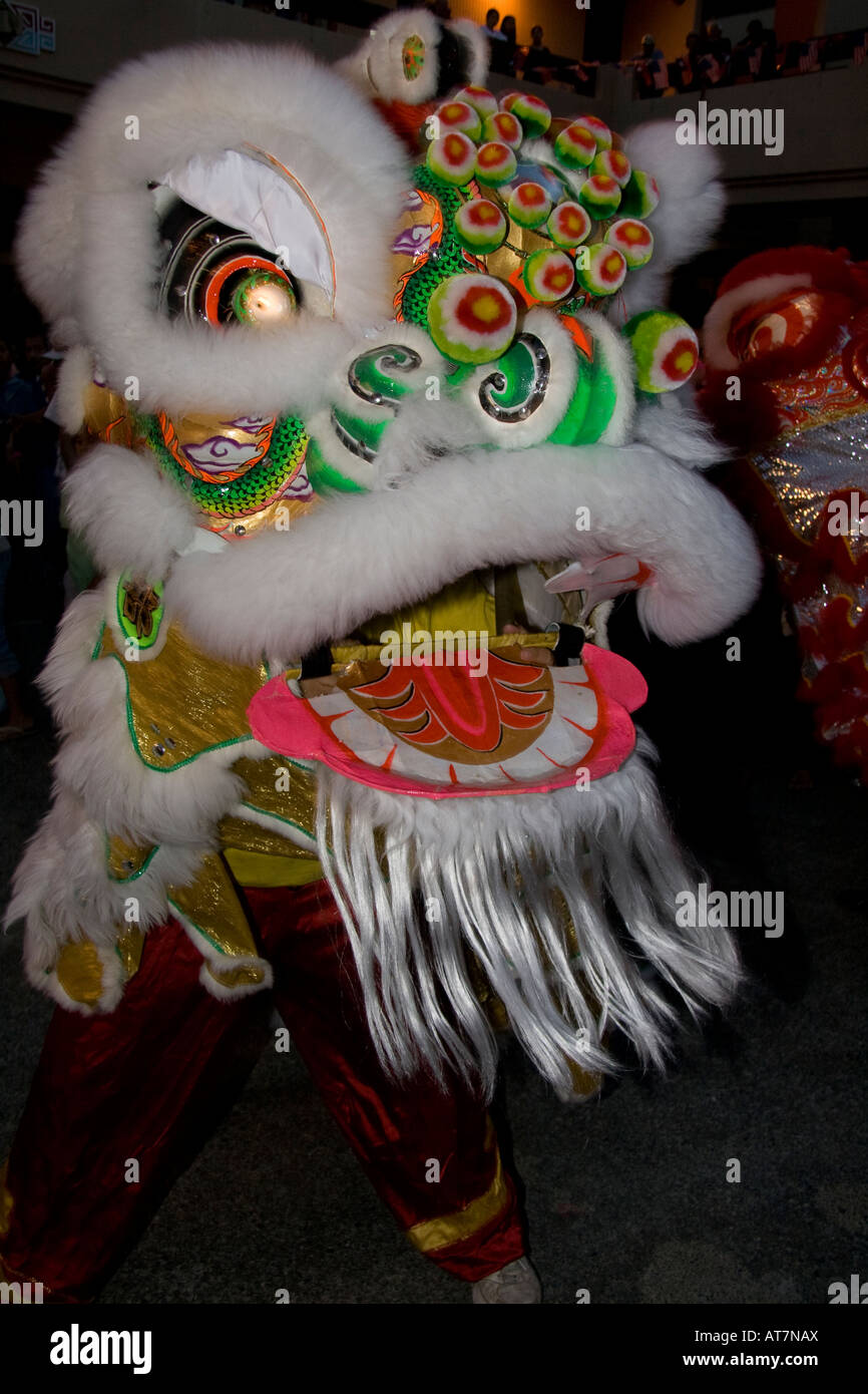 Chinese New Year celebration and Lion dance Stock Photo - Alamy