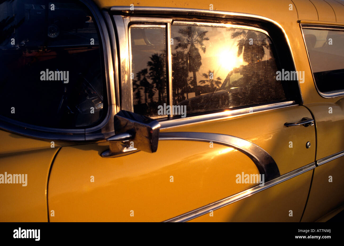 Palm trees reflected in windows of classic 1950s car in Venice Beach ...