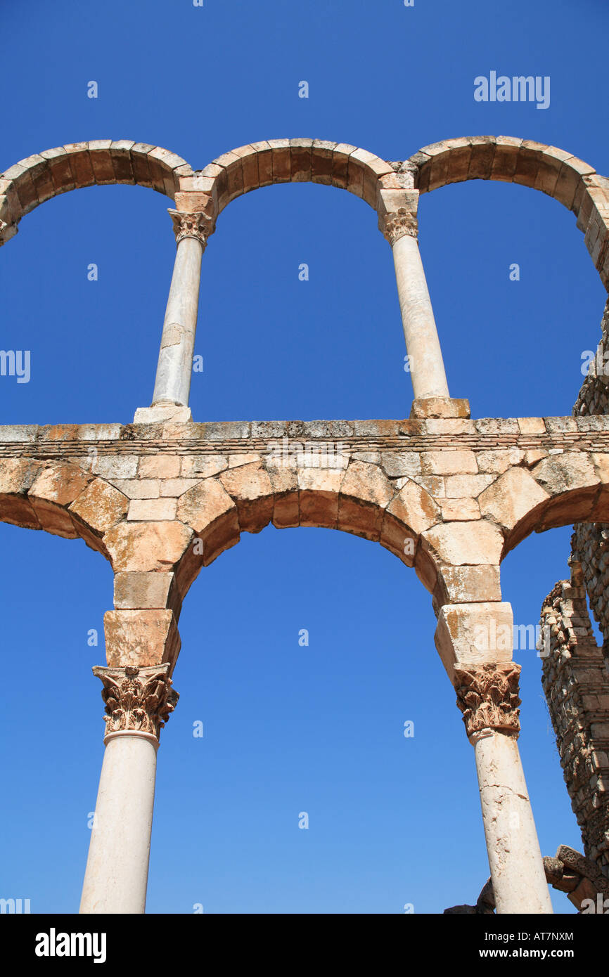 The Great Palace Umayyad period ruins in the ancient city of Aanjar ...