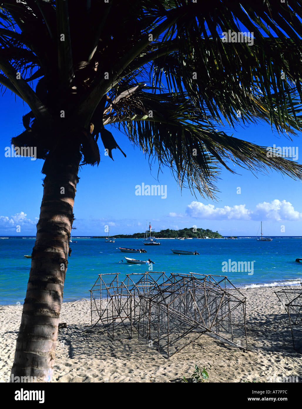 French blue lobsters hi-res stock photography and images - Alamy