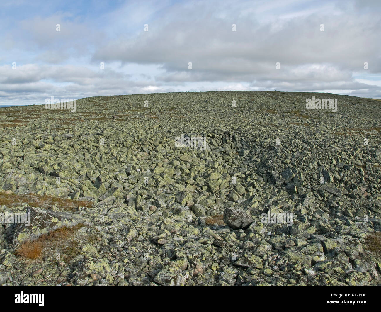 stones on fell in Äkaslompolo Lapland Finland Stock Photo - Alamy