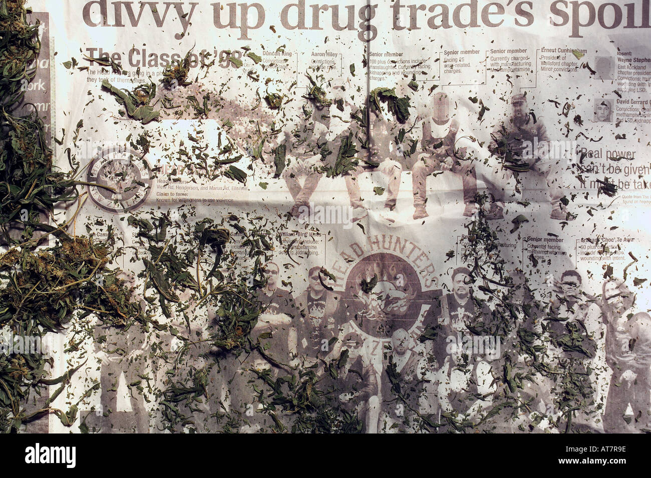 The mongrel mob new zealand hi-res stock photography and images - Alamy