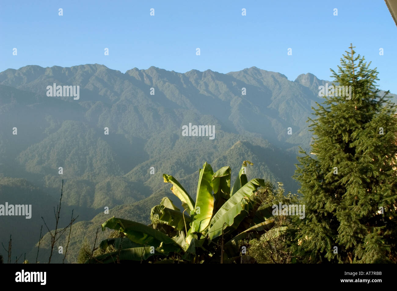 Mount Fansipan Sapa Northern Vietnam Stock Photo - Alamy