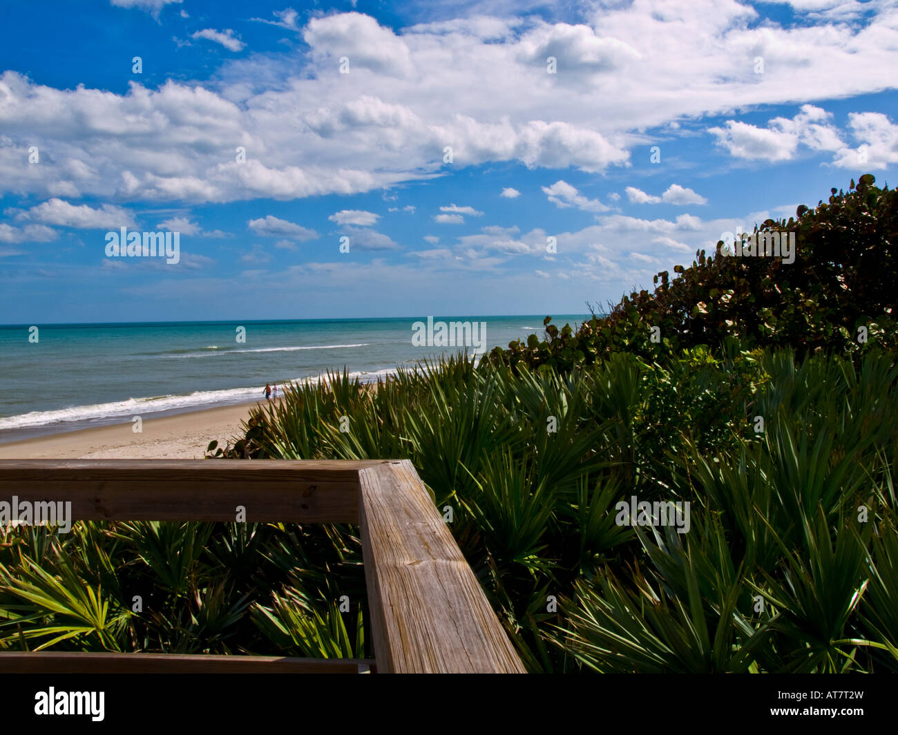 Florida winter beach hi-res stock photography and images - Alamy