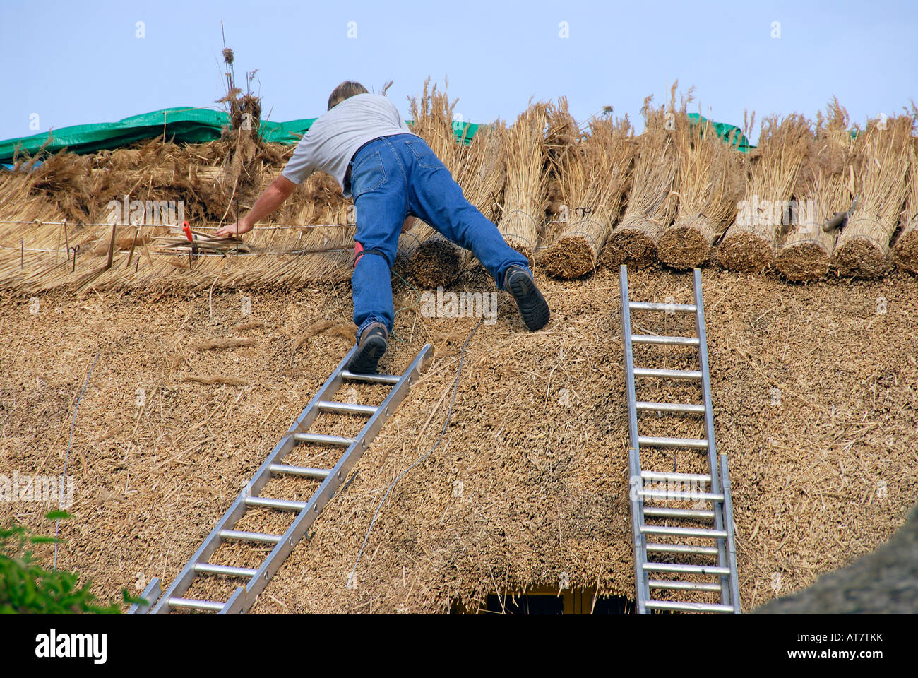 Devon thatcher on roof hi-res stock photography and images - Alamy