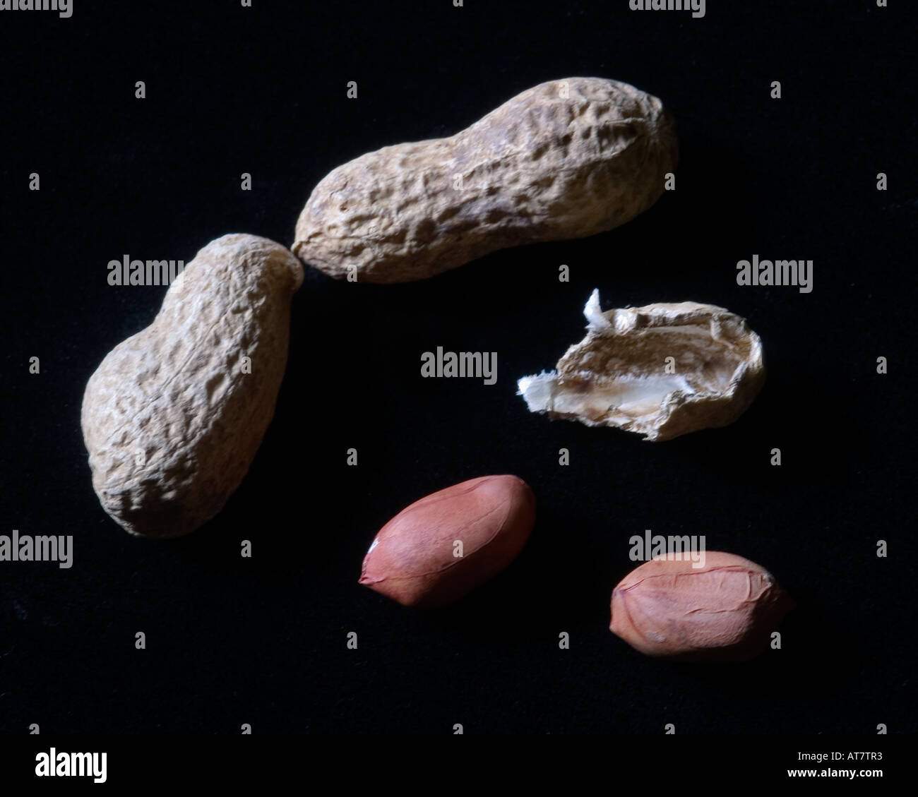 Monkey nuts - Ground nuts Stock Photo - Alamy