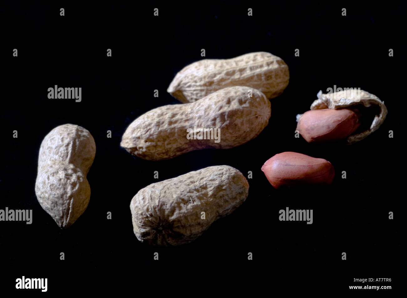 Monkey nuts or Ground nuts Stock Photo - Alamy