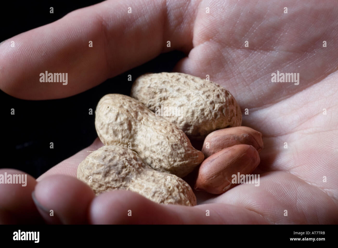 Close-up of hand of 14-year old boy holding peanuts Stock Photo - Alamy