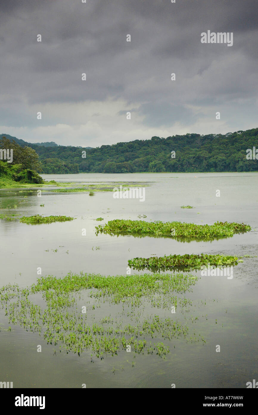 Canal chagres hi-res stock photography and images - Alamy