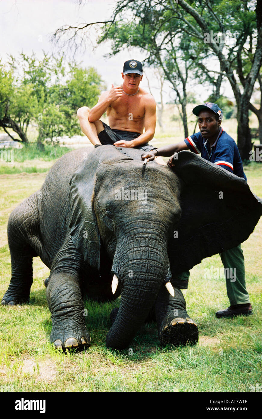 Man riding an elephant Stock Photo - Alamy