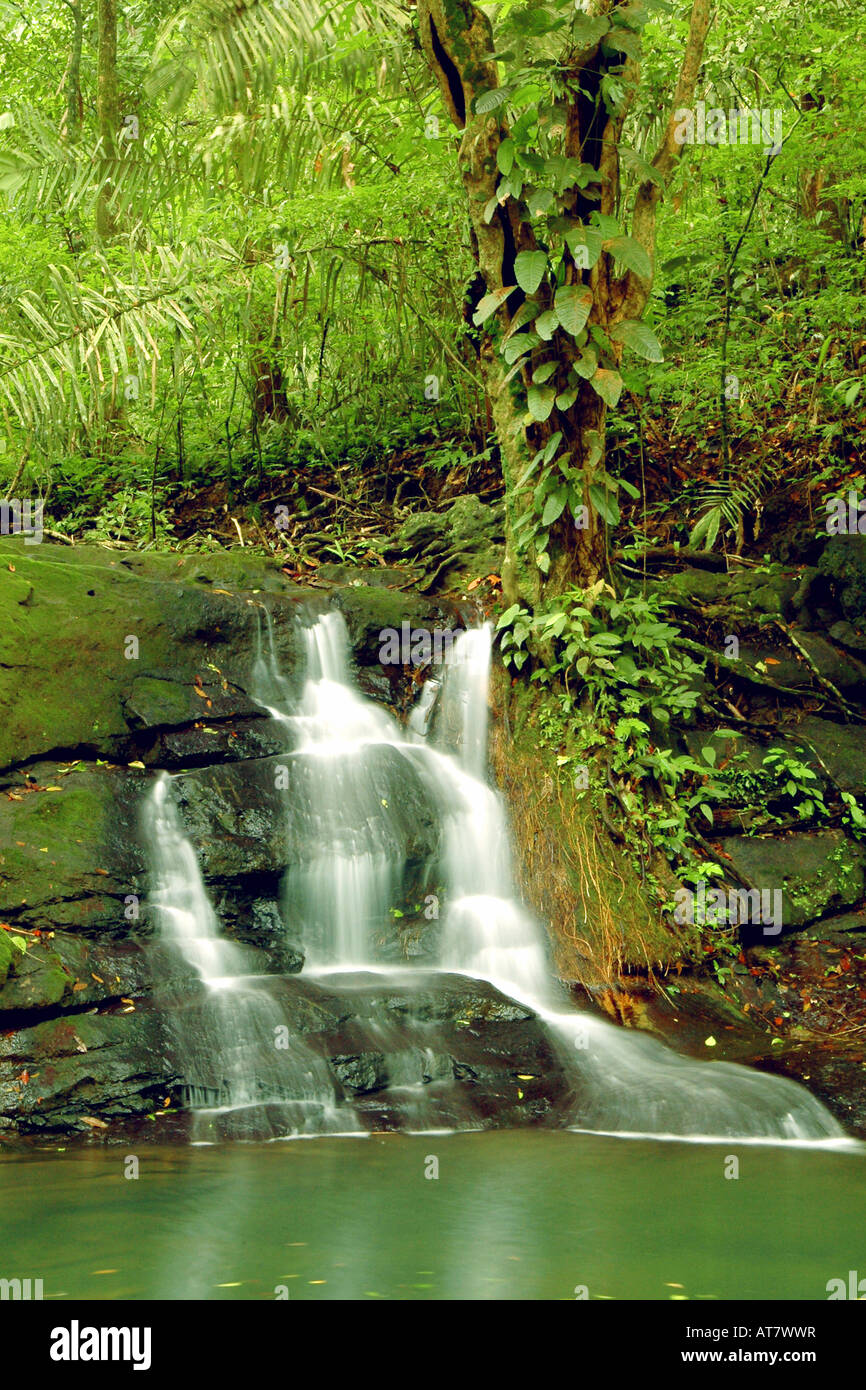 Waterfall in rainforest, central Panama Stock Photo - Alamy