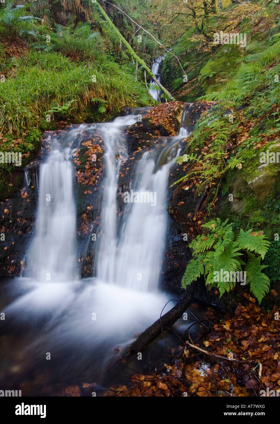 Autumnselva hi-res stock photography and images - Alamy