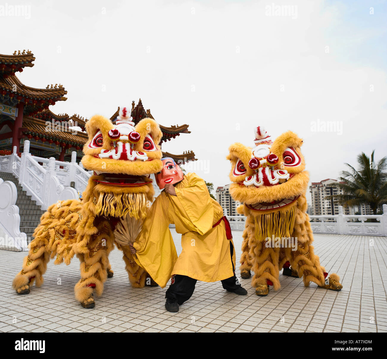 2 lions and the performer performing lion dance Stock Photo - Alamy