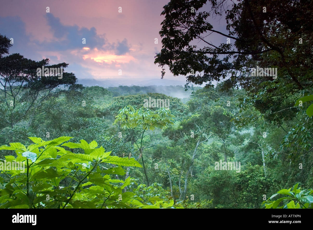 Sunrise over the Panamanian Rainforest, Caribbean coast of Panama Stock ...