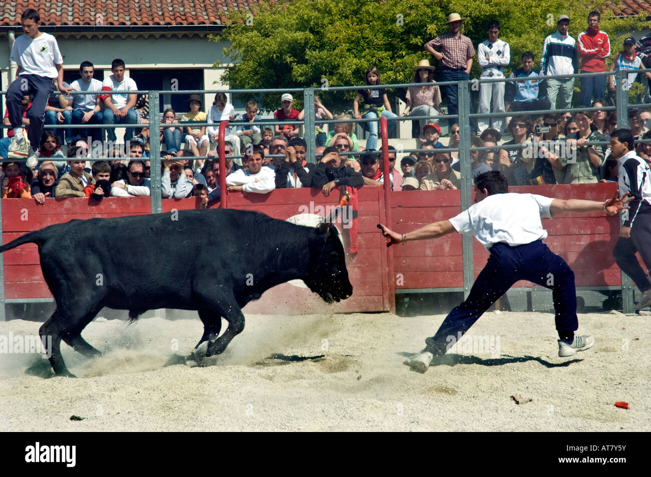 Arles france bullfight festival feria hi-res stock photography and ...