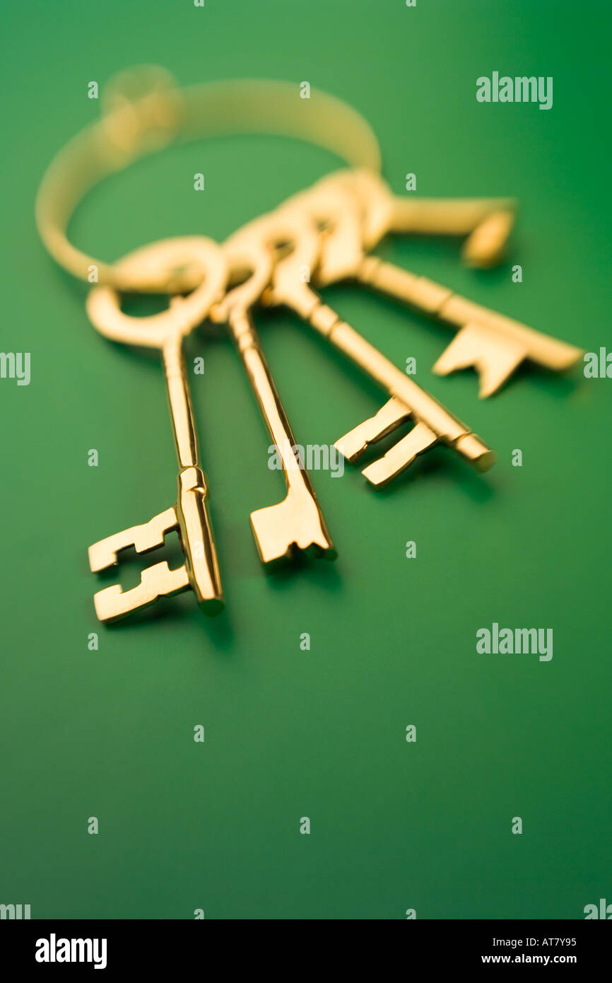 Bronze green hi-res stock photography and images - Alamy