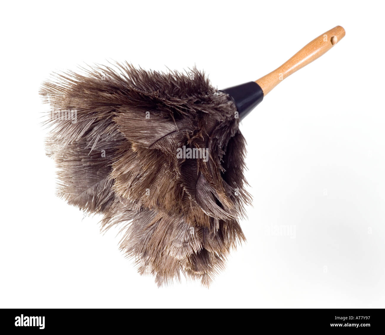 Feather duster hi-res stock photography and images - Alamy