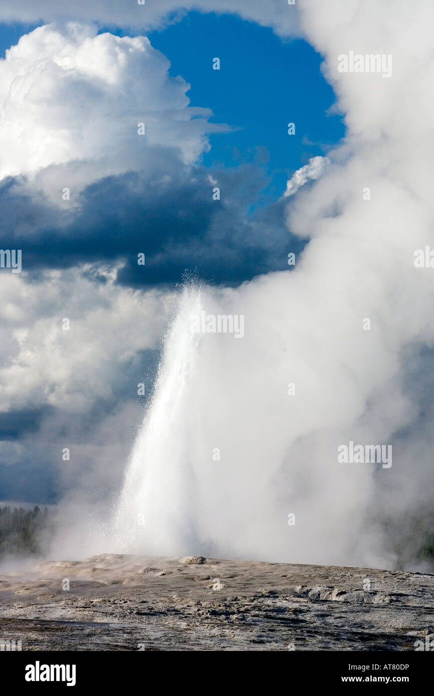 Old Faithful Geyser Yellowstone National Park Stock Photo - Alamy