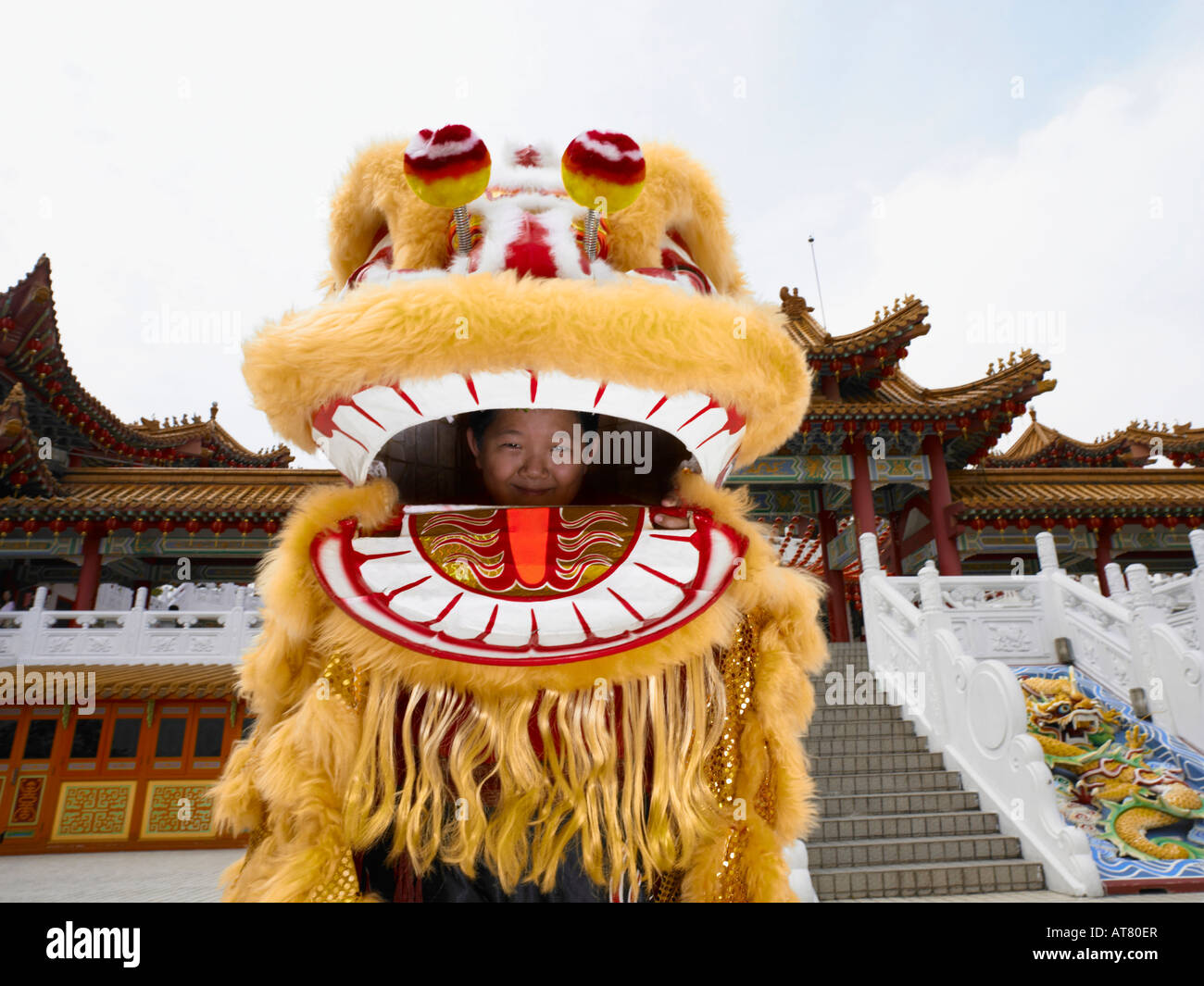 front view of lion dance performer Stock Photo - Alamy