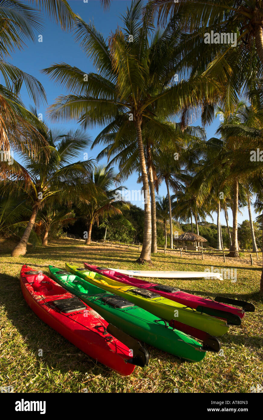 Trunk canoes hi-res stock photography and images - Alamy