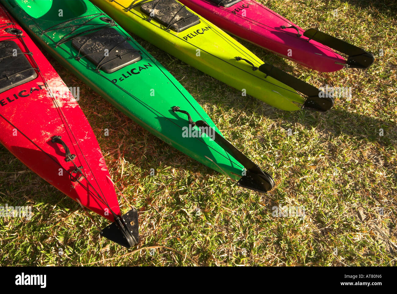 Trunk canoes hi-res stock photography and images - Alamy