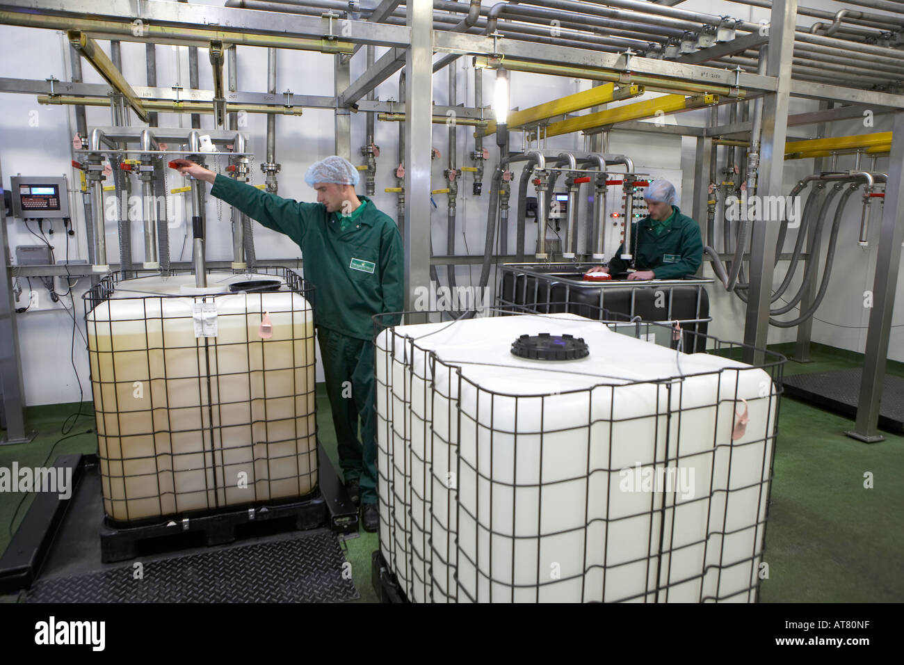 Two workers filling bulk liquid containers inside a factory Stock Photo ...