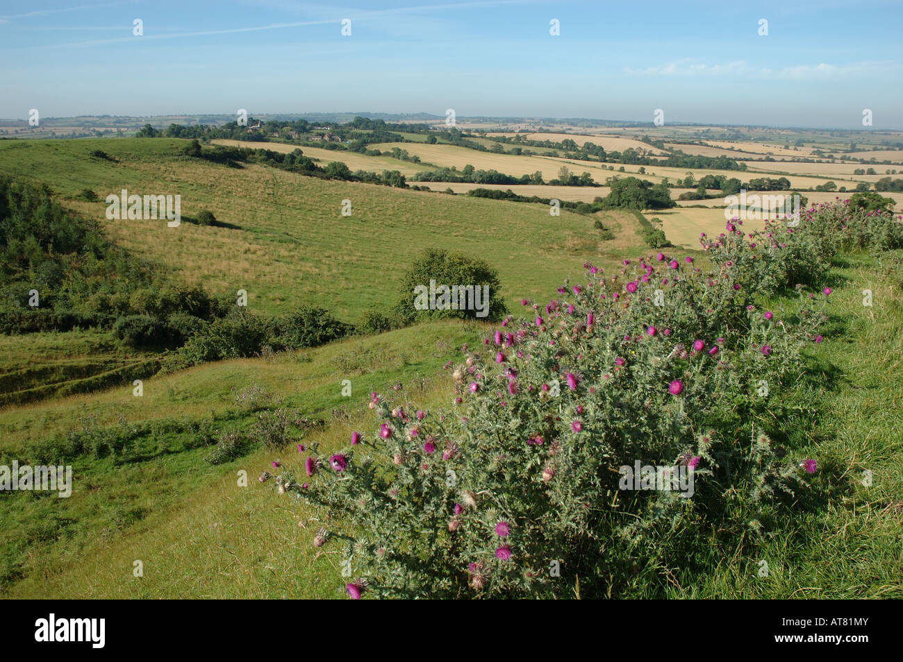 Burrough on the hill hi-res stock photography and images - Alamy
