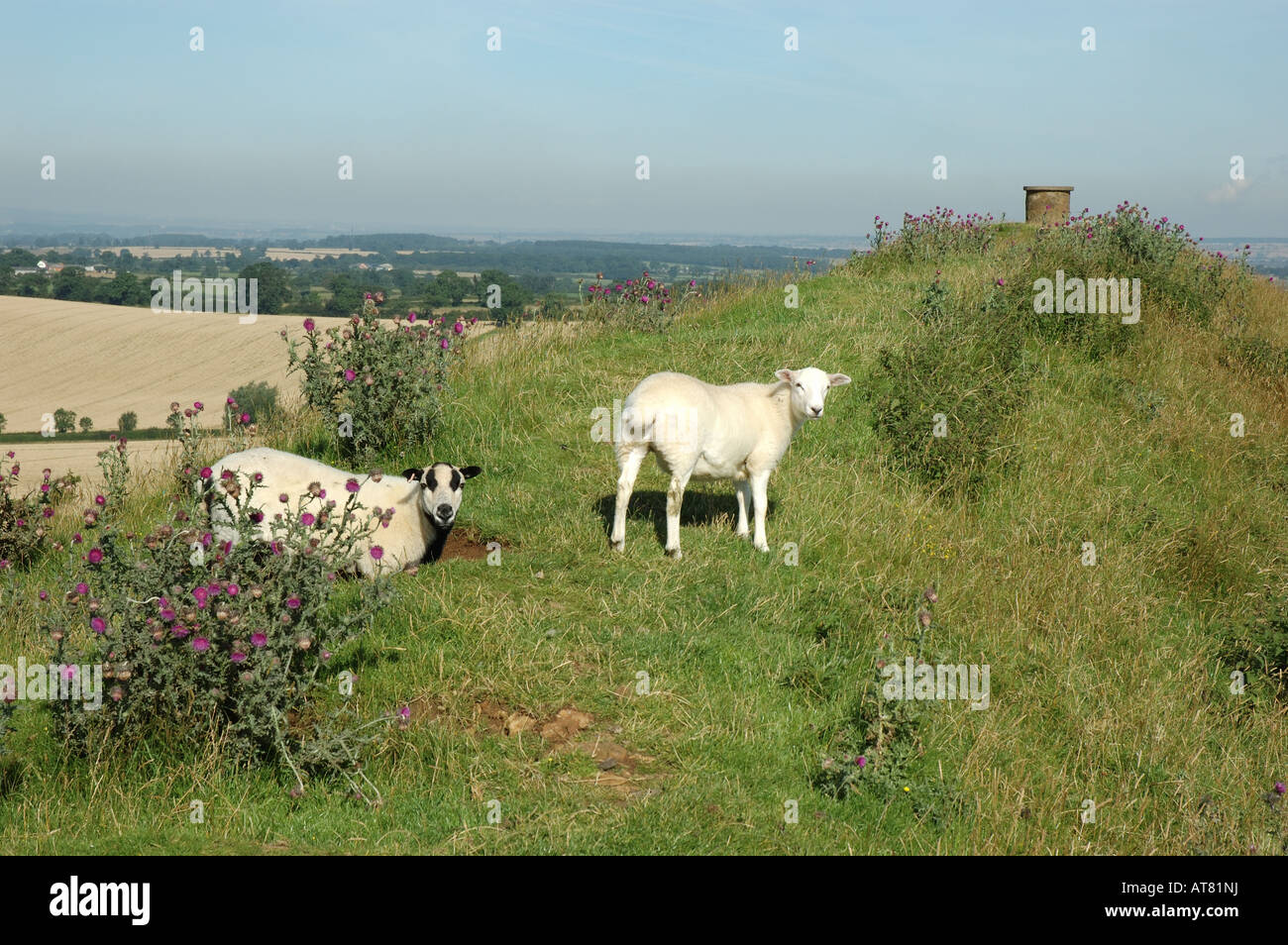 Burrough hill fort hi-res stock photography and images - Alamy