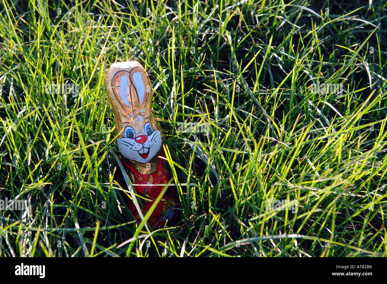 Easter bunny uk hi-res stock photography and images - Alamy