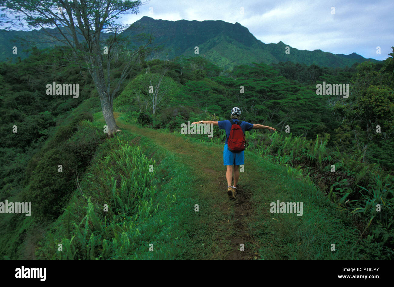 Kuilau ridge trail wailua hi-res stock photography and images - Alamy