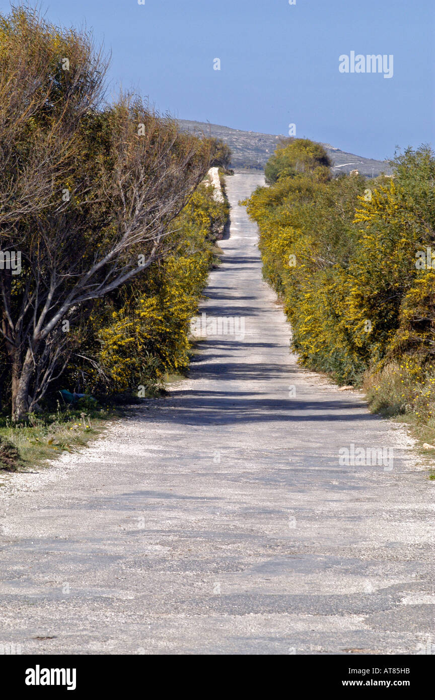 Road along Marfa Ridge northern Malta Stock Photo - Alamy