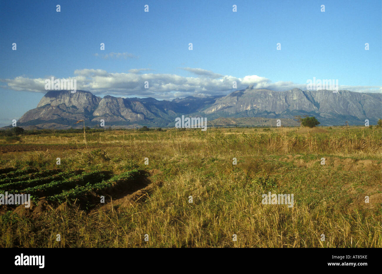 Mulanje mountain malawi hi-res stock photography and images - Alamy