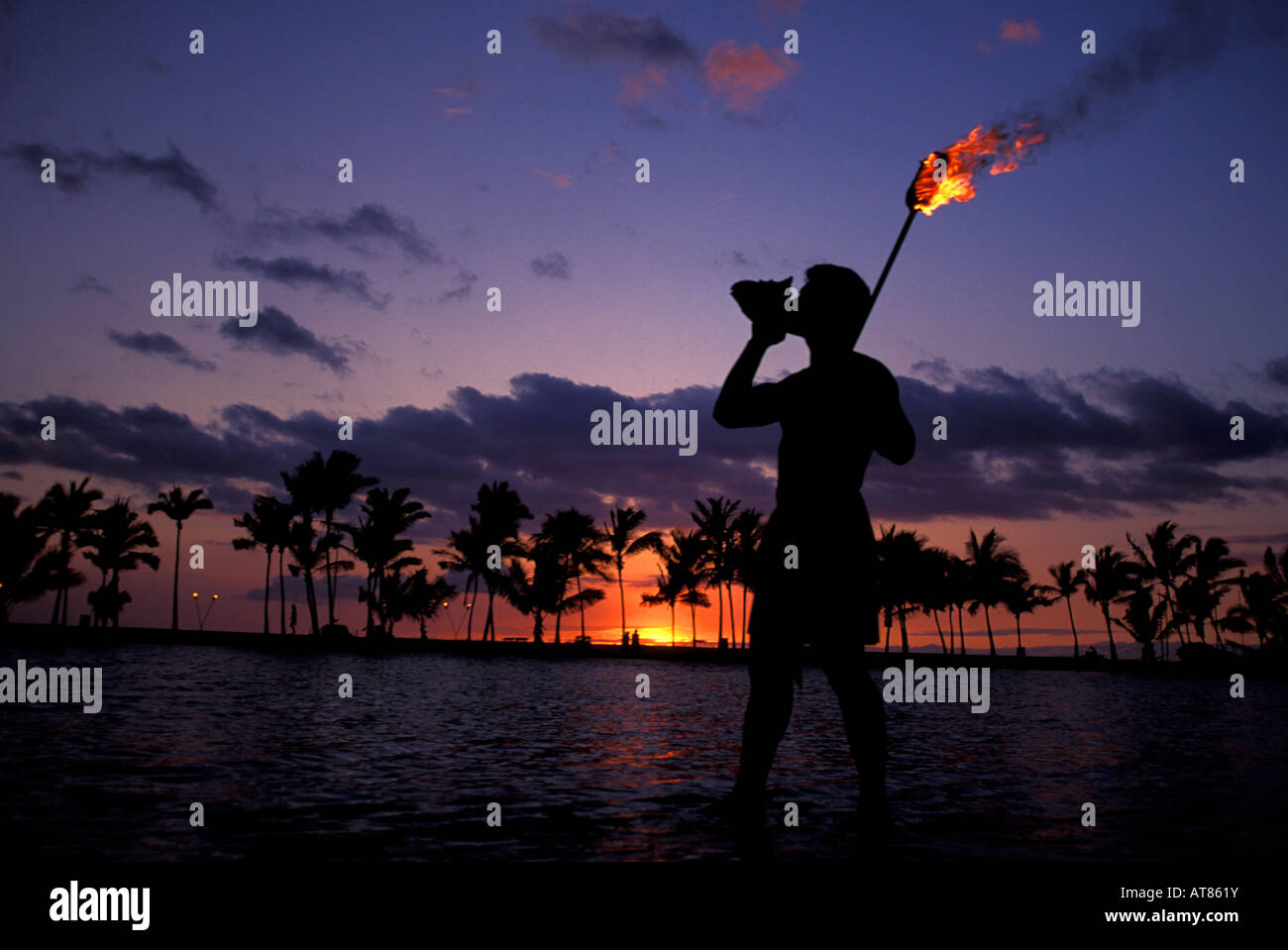 Hawaii blowing conch shell hi-res stock photography and images - Alamy