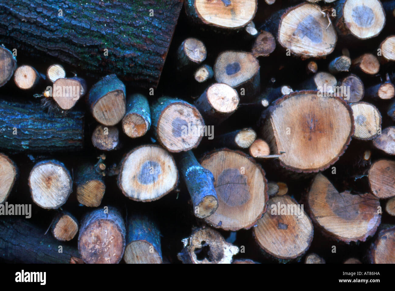 Woodstack Tuscany Italy Stock Photo - Alamy
