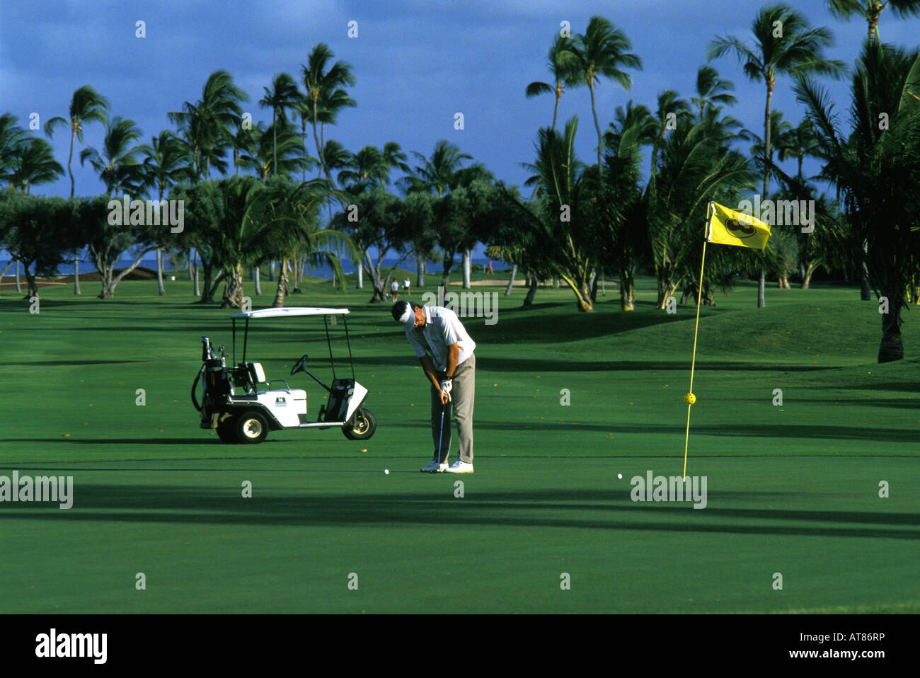 a golfer at the Waialae Country Club on Oahu, home of the Hawaiian Open ...