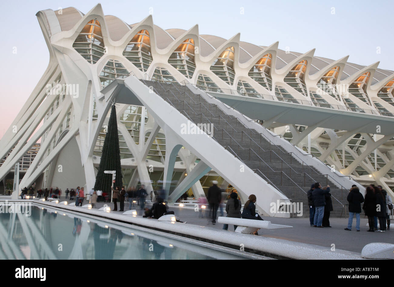 Principe Felipe Science Museum, The Arts and Science City by Calatrava ...