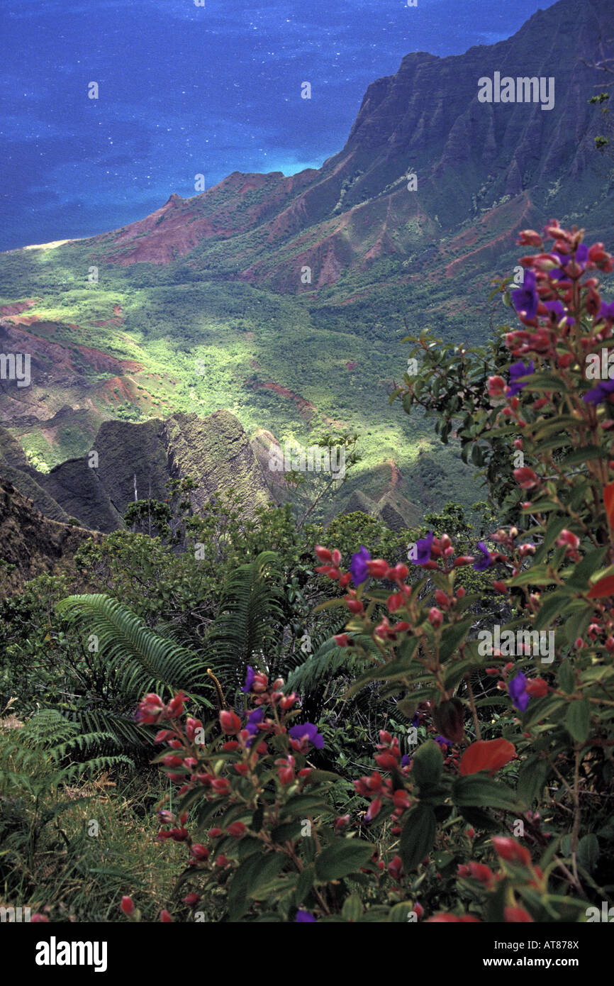 Lush Kalalau valley on the north shore of the Na Pali coastline of ...