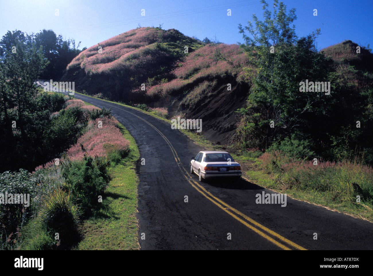 Road to Waimea Canyon and Kokee State Park, West coast, Kauai Stock ...