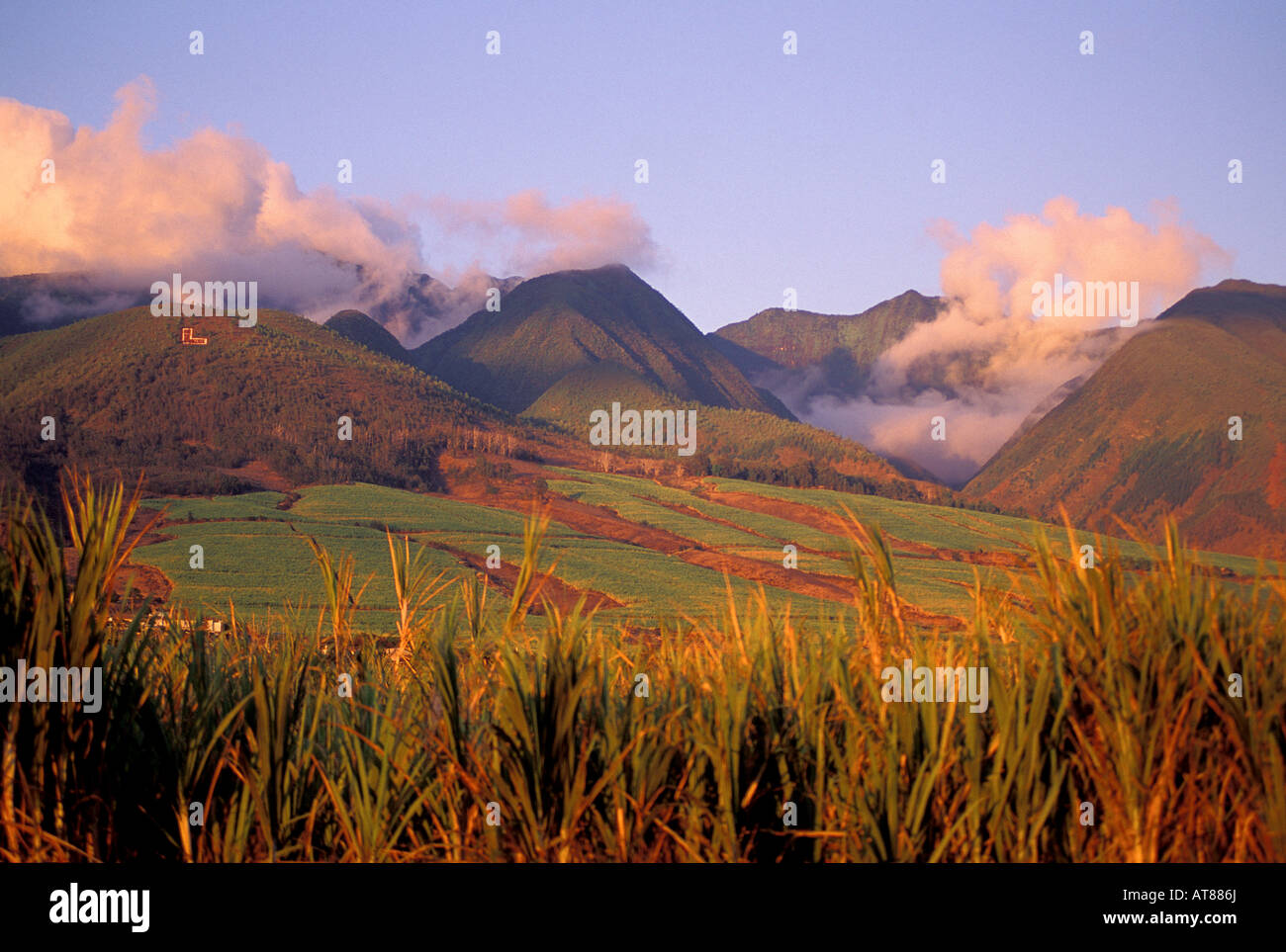 West Maui mountains near Lahaina, viewed across sugar cane fields at ...