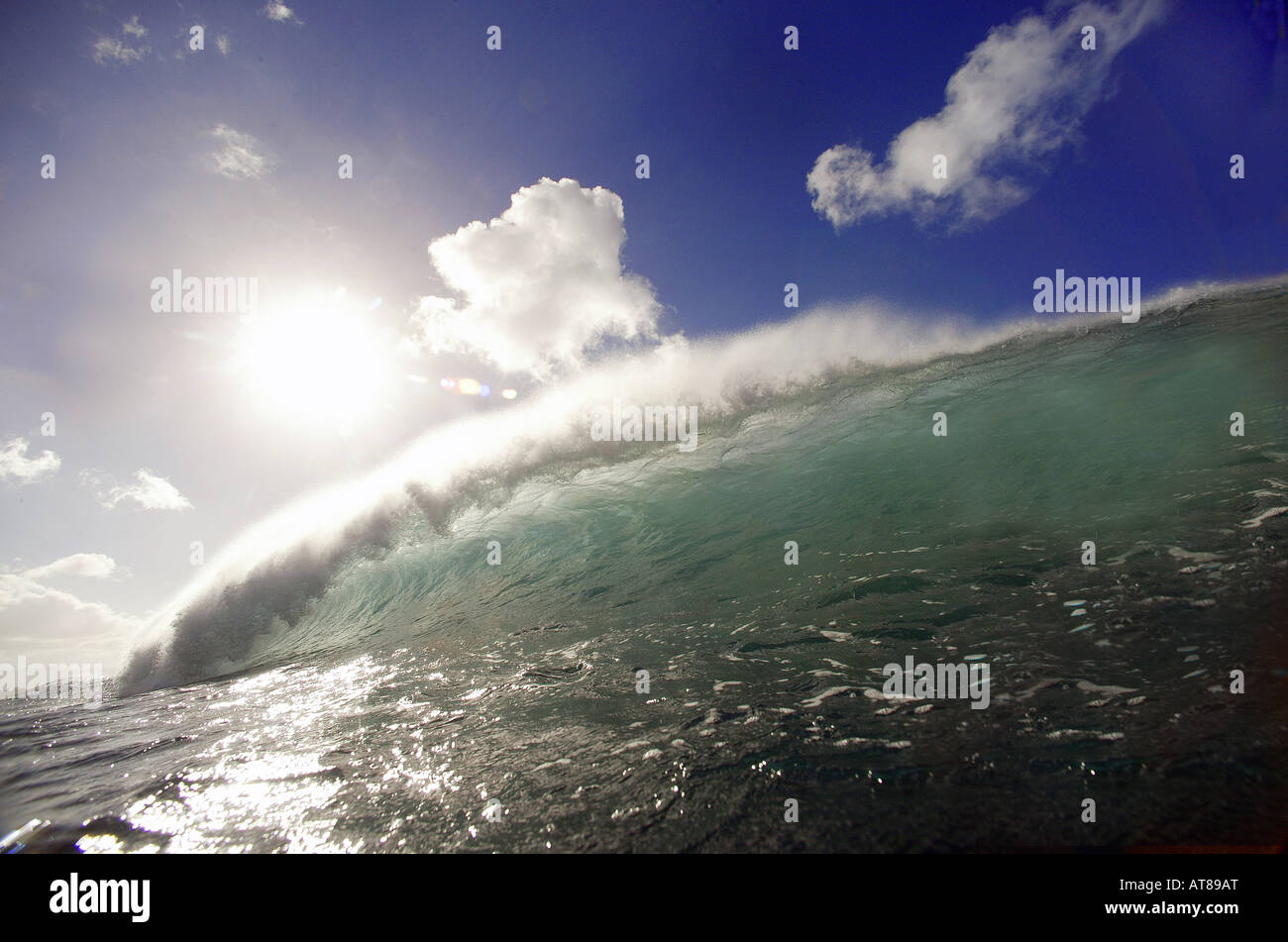 clean blue/green water reflects the sun as wave breaks under blue sky ...