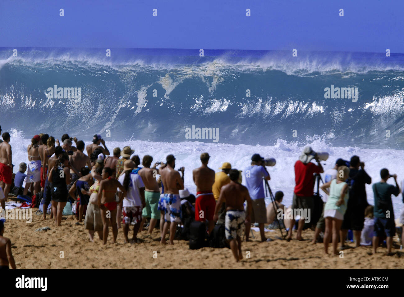 people gather to watch the excitement of big wave surfing at Pipeline ...