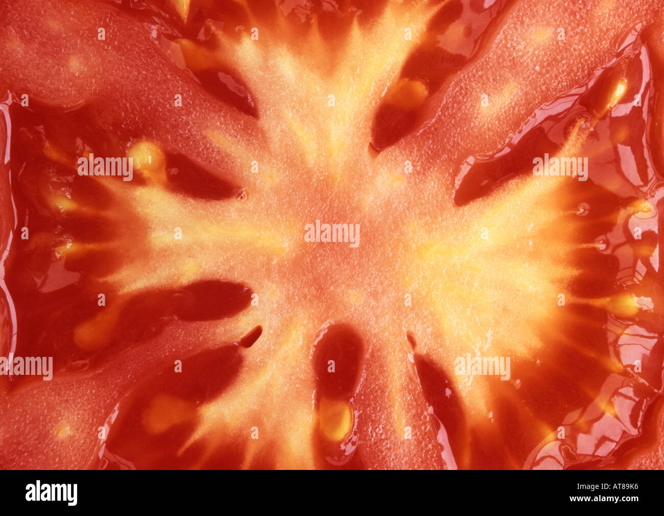 Macro tomato cross section hi-res stock photography and images - Alamy