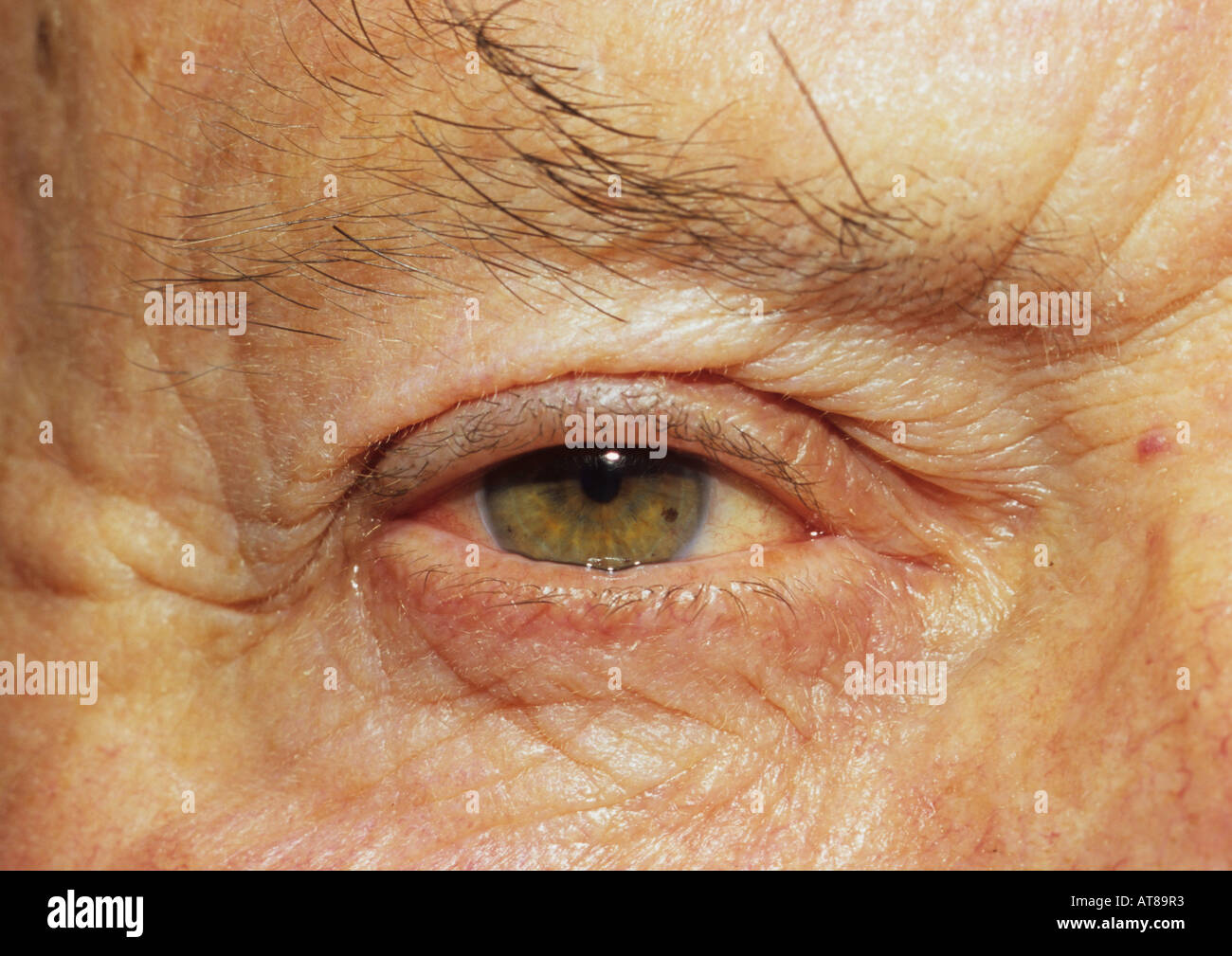 Wrinkly skin old man hi-res stock photography and images - Alamy